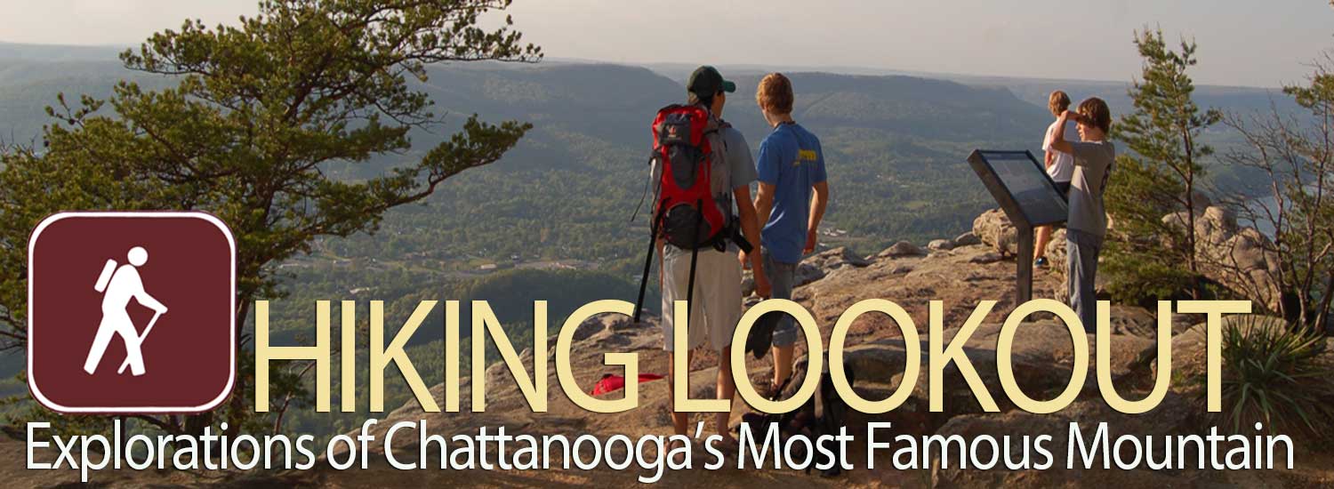 Hiking Lookout: Explorations of Chattanooga's Most Famous Mountain